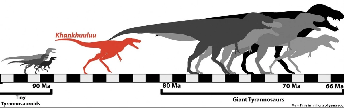 暴龙的祖先——“蒙古汗赫龙”（龙王子） | Mono.mn